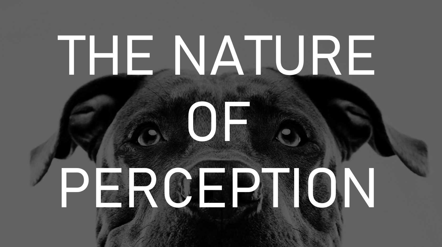 2102 The Nature of Perception | Trucker Tom's Podcast